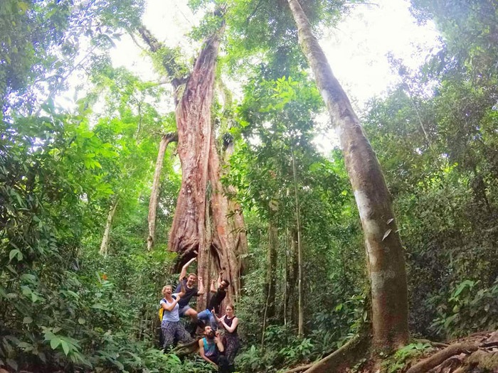 Sumatra Jungle Trekking in Ketambe